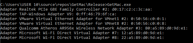 Anti VMWare Techniques – Cyber Security Architect | Red/Blue Teaming ...