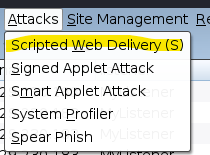 Cyber Security Architect | Red/Blue Teaming | Exploit/Malware Analysis – by Rio Asmara Suryadi